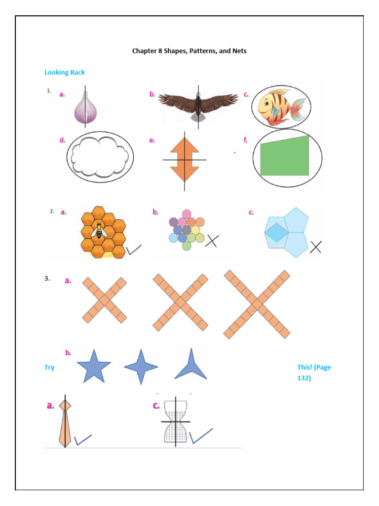 Detailed - Solutions - CH - 8.pdf Class 5 | PDF