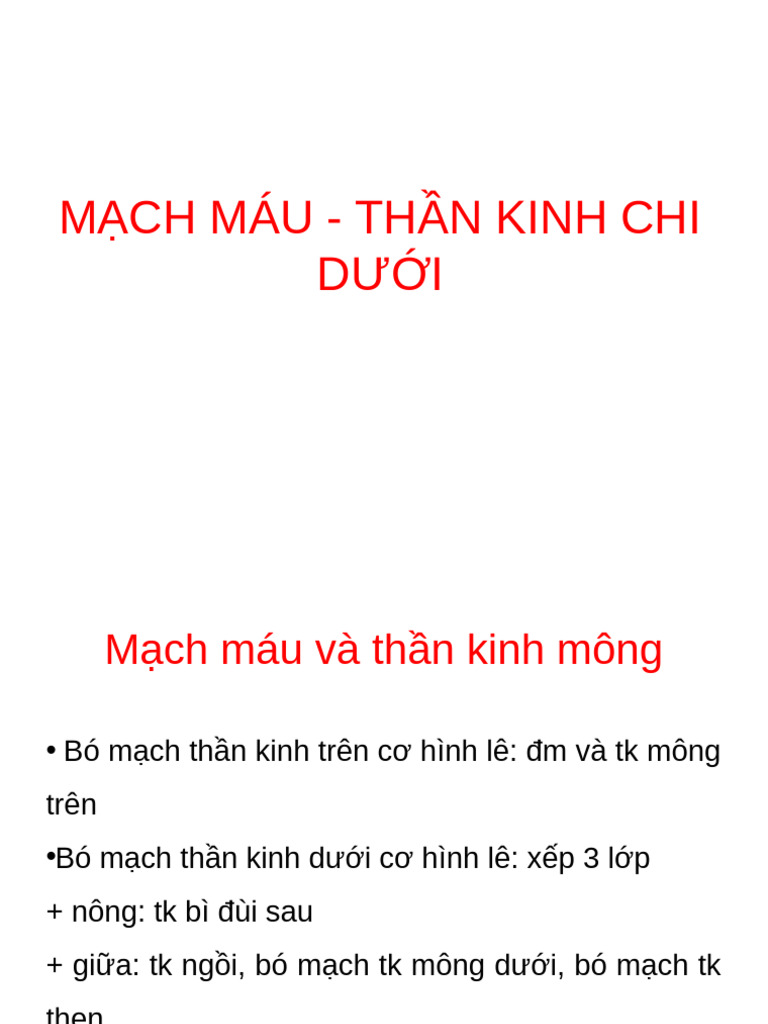Mach Mau Than Kinh Chi Duoi | PDF