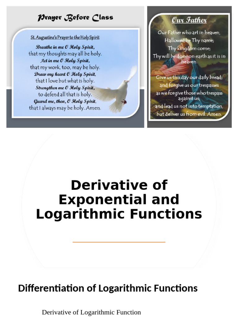 ENDCAL13E Lec 5 Derivative of Log and Exp Functions | PDF