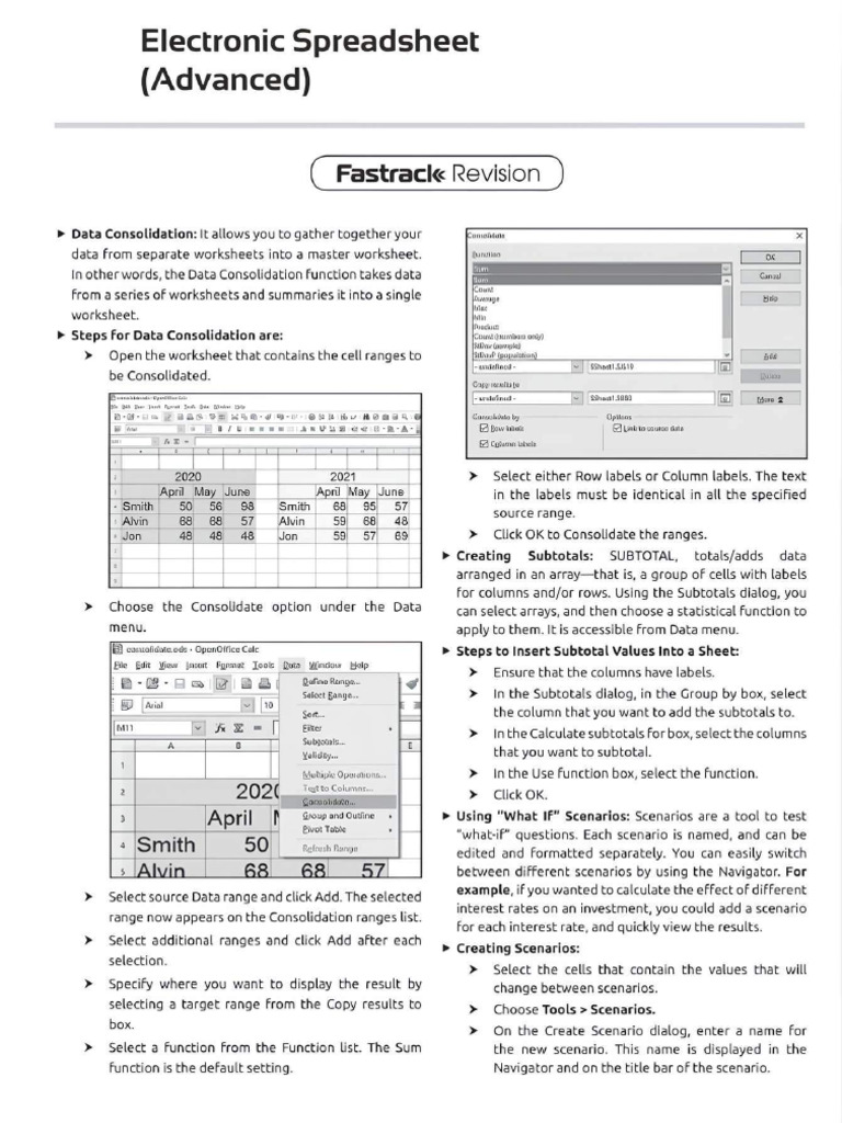 Electronic Spreadsheet | PDF