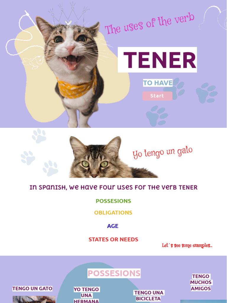 The Uses of The Verb: Tener | PDF