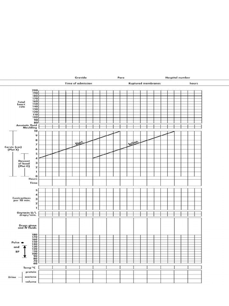 Partograph 1-WPS Office | PDF