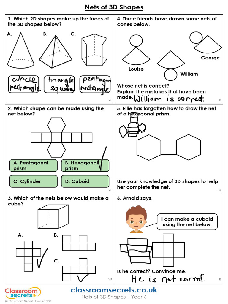 Year 6 Nets of 3D Shapes Guide | PDF