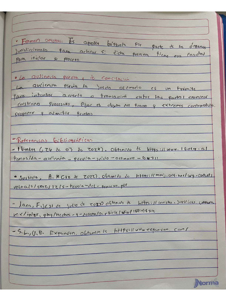 Cuestionario Presupuestos Procesales DEAG | PDF