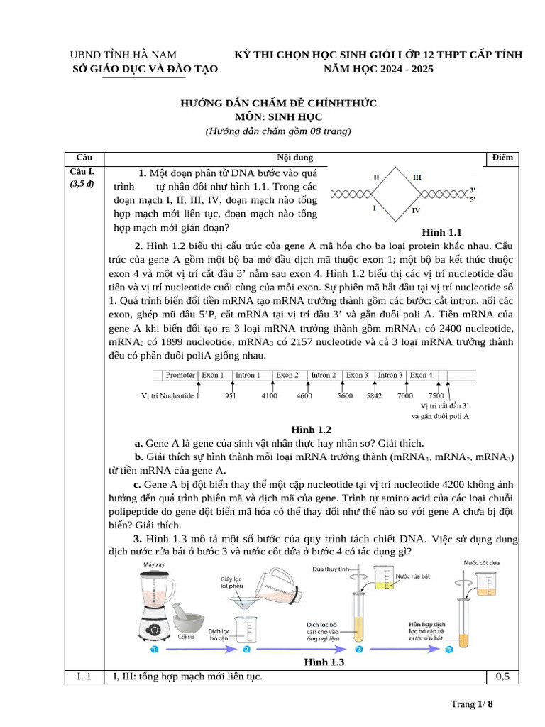 24-25. HDC Sinh 12 | PDF