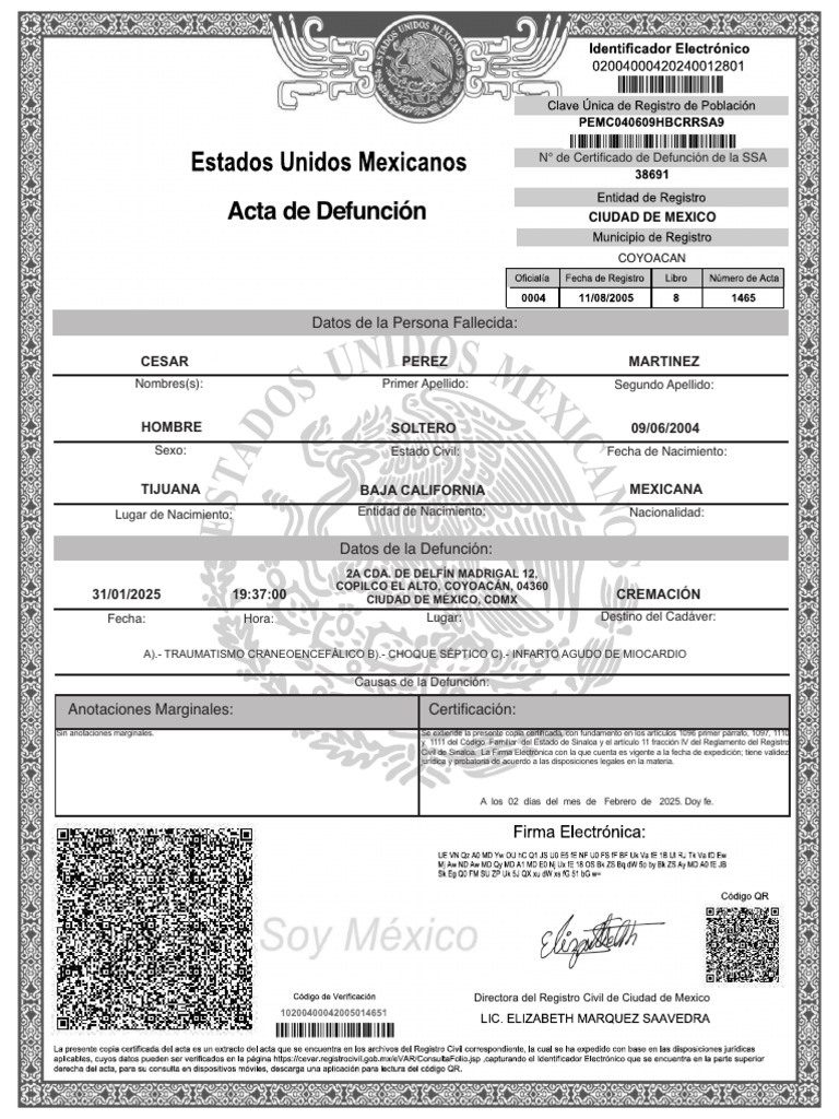 Acta de Defunción CDMX 2025 | PDF