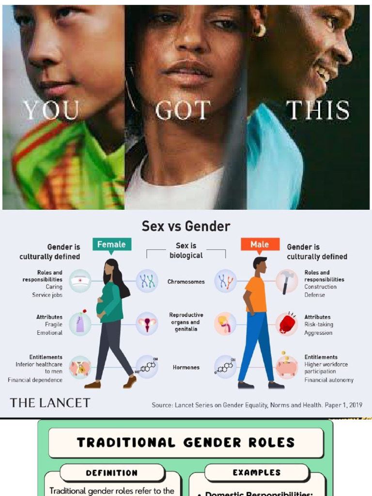 Experiment 10 Male vs. Female Reproductive System | PDF | Reproductive ...