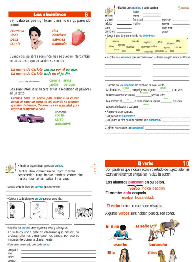 Sinonimos y Verbos Segundo Grado | PDF