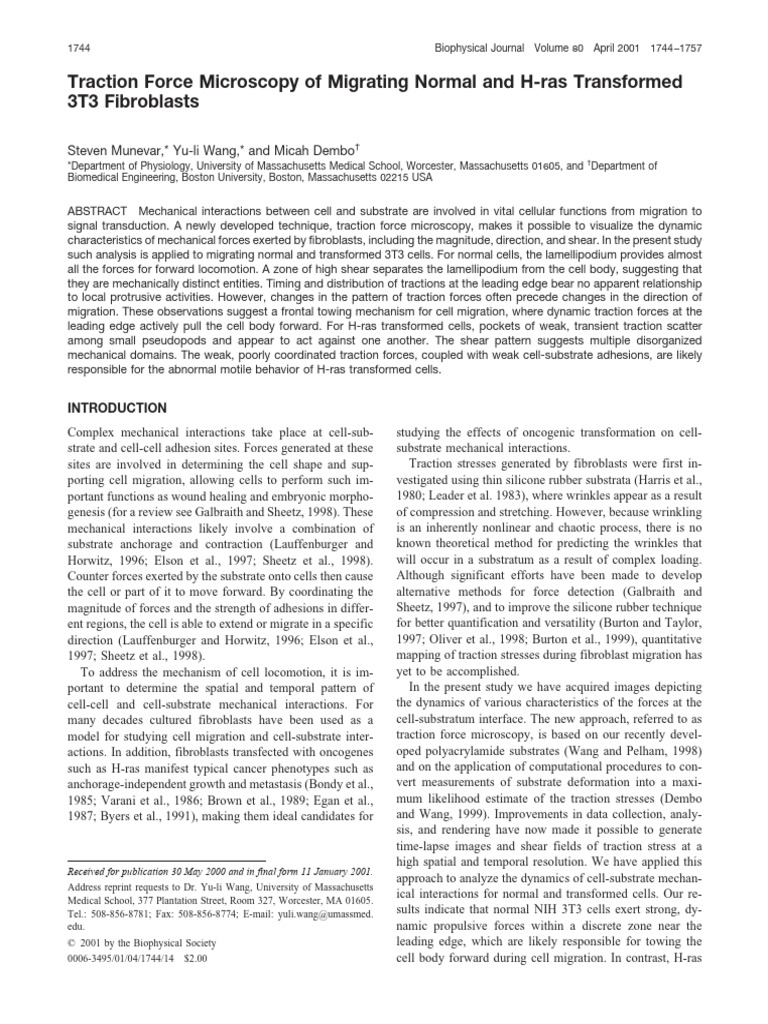 PIIS0006349501761450 | PDF | Cell Migration | Stress (Mechanics)