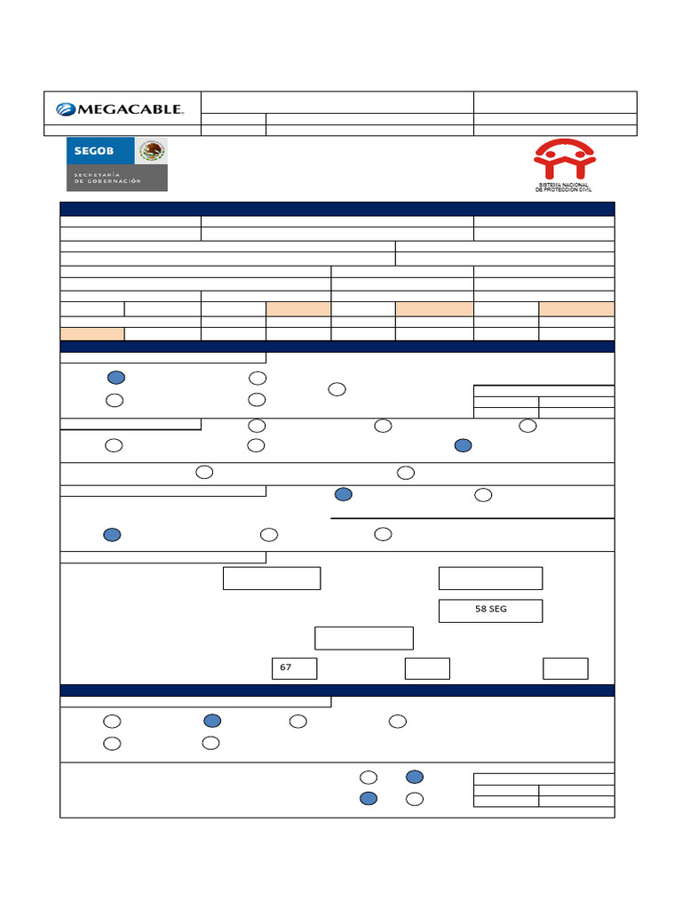 HRM-SEG-REG-011-Cedula de Evaluación de Simulacro 2024 | PDF | Defensa Civil | Seguridad Pública