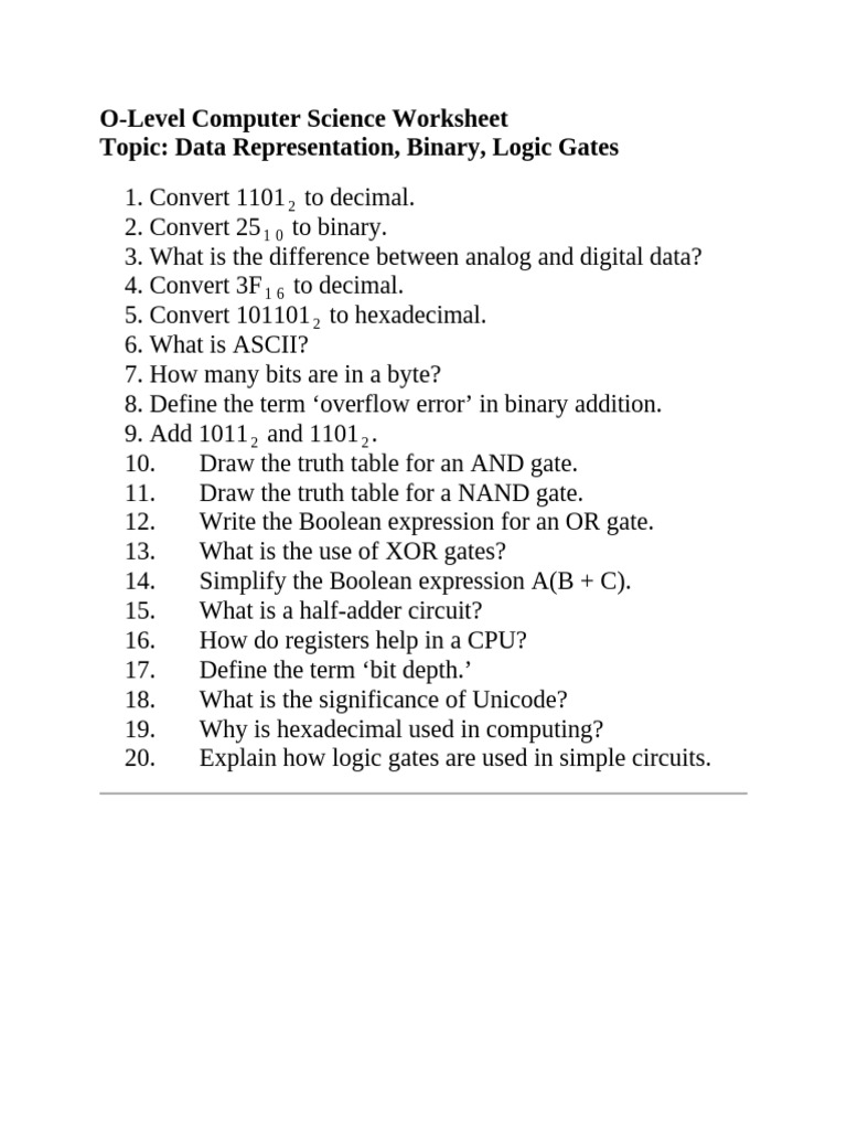 O-Level Computer Science Worksheet | PDF