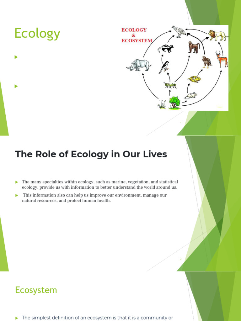 Understanding Ecosystems and Their Benefits | PDF | Ecosystem | Ecology