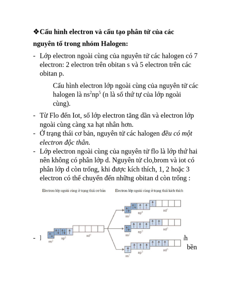 Cấu-hình-electron-và-cấu-tạo-phân-tử-của-Halogen (1) | PDF