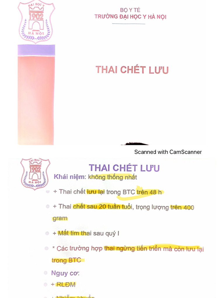 LEC 6 Thai Lưu | PDF