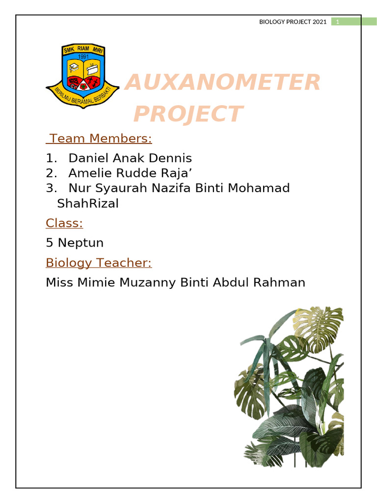 Auxanometer Project | PDF
