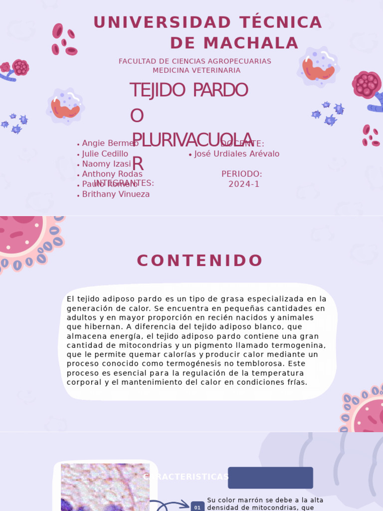 Tejido Adiposo Pardo: Funciones y Beneficios | PDF | Termorregulación | Tejido adiposo