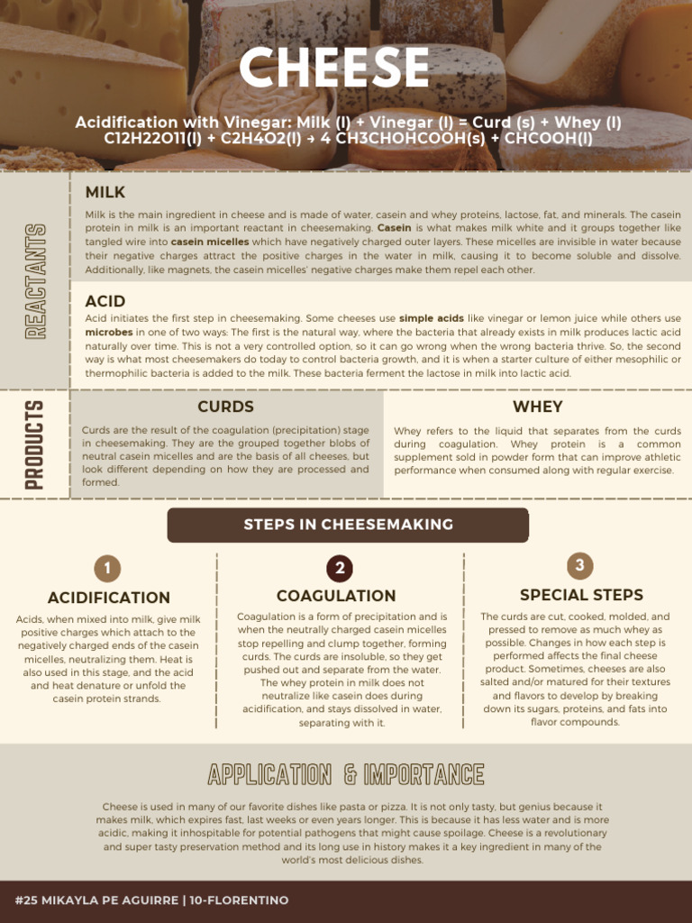 Cheese Chemistry | PDF | Cheesemaking | Milk