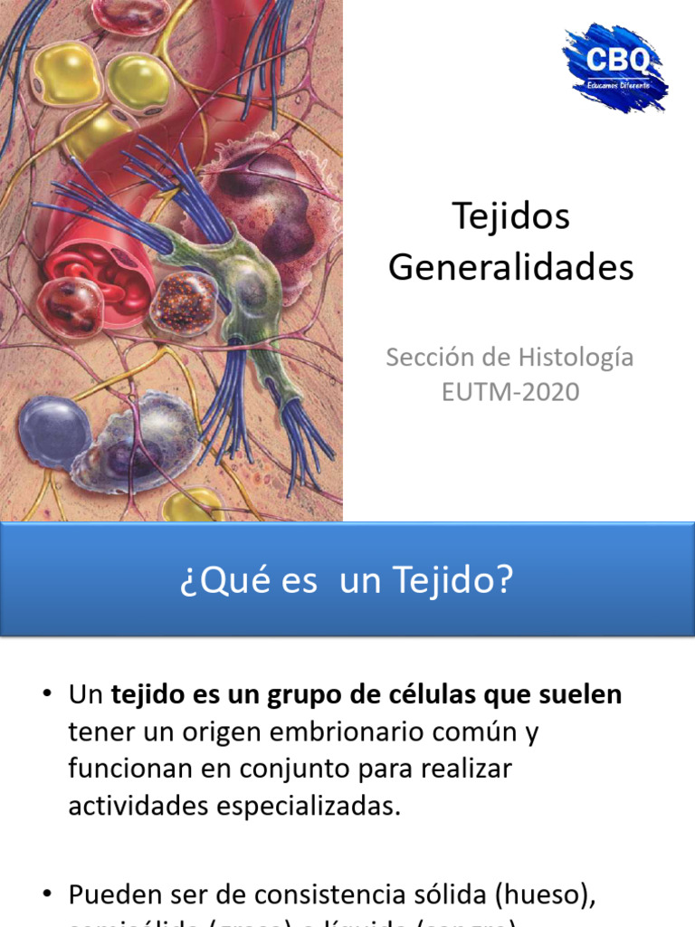 1 Eutm 2020 Histo Generalidades Tejidos | PDF | Histología | Morfología (biología)