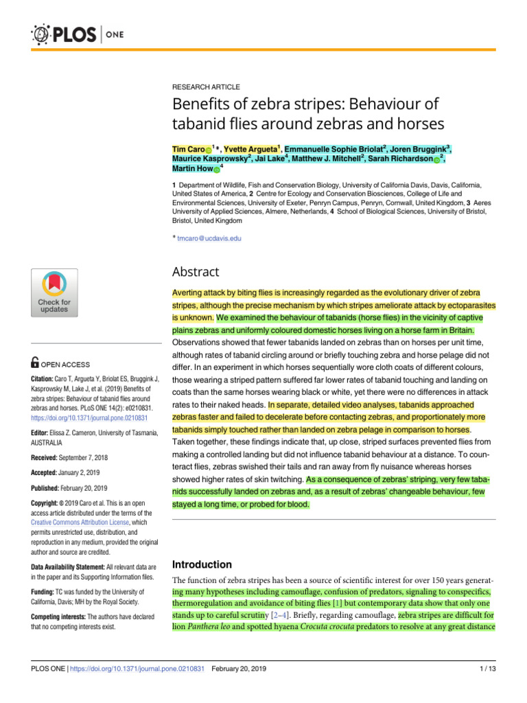 1_Zebra | PDF | Equus (Genus) | Zebra