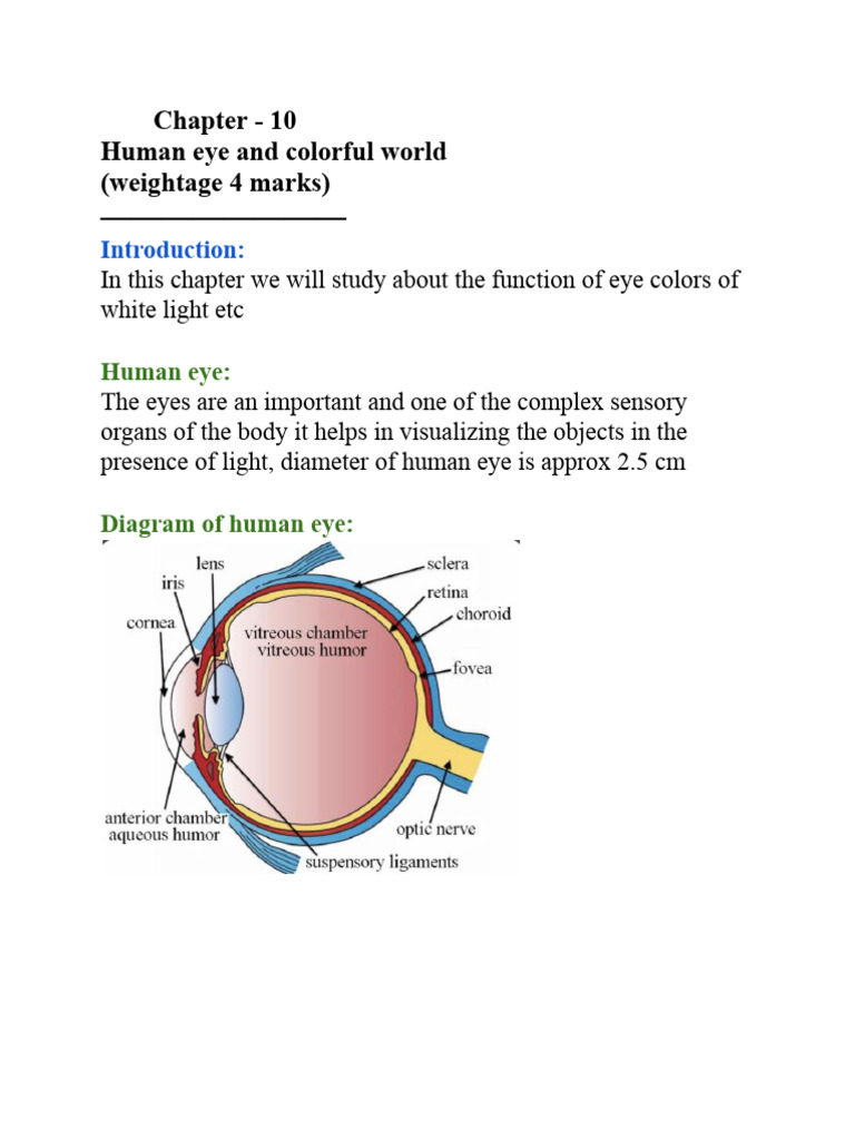 Class-10 Ch-10 Science Notes | PDF | Eye | Human Eye