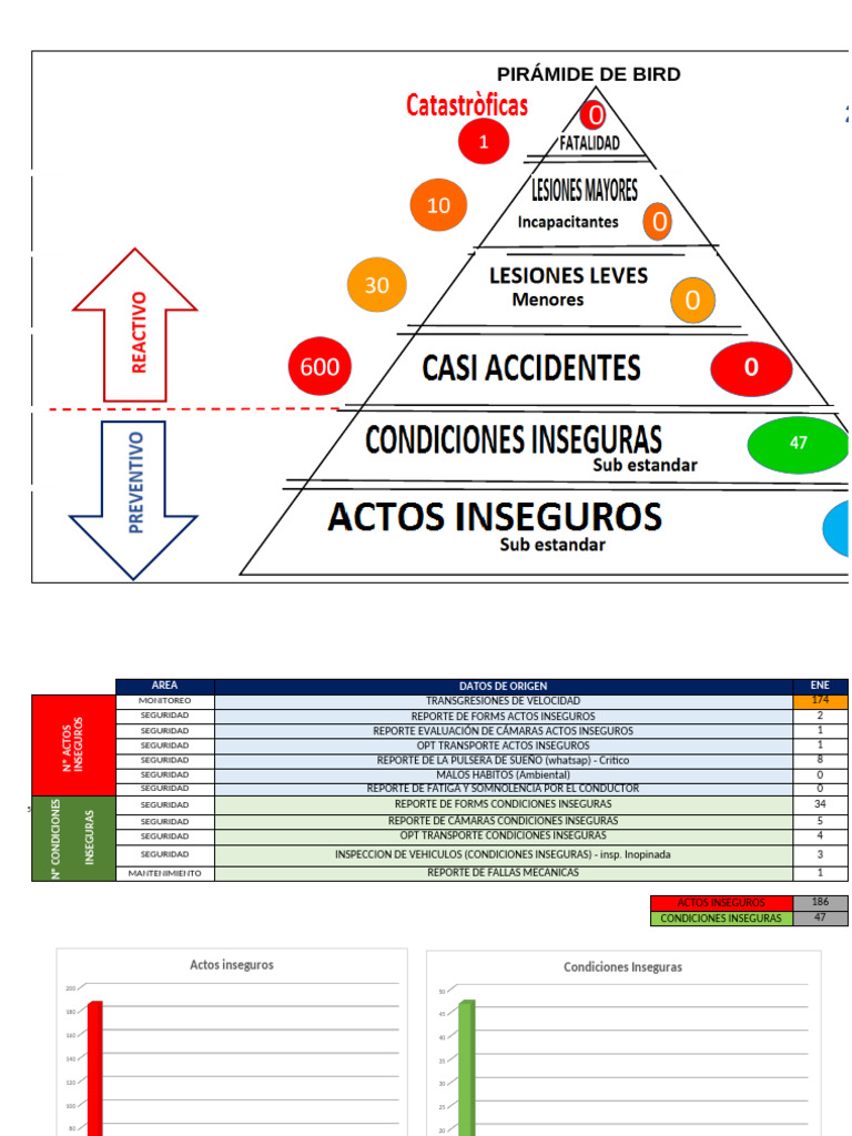 Piramide Bird - 2025 Lpo | PDF