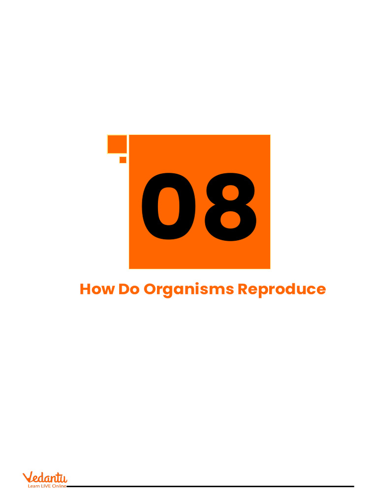 How Organisms Reproduce: Key Concepts | PDF | Sexual Reproduction ...