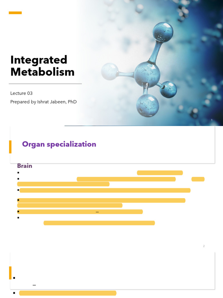 Integrated Metabolism - Lec03 | PDF | Adipose Tissue | Skeletal Muscle