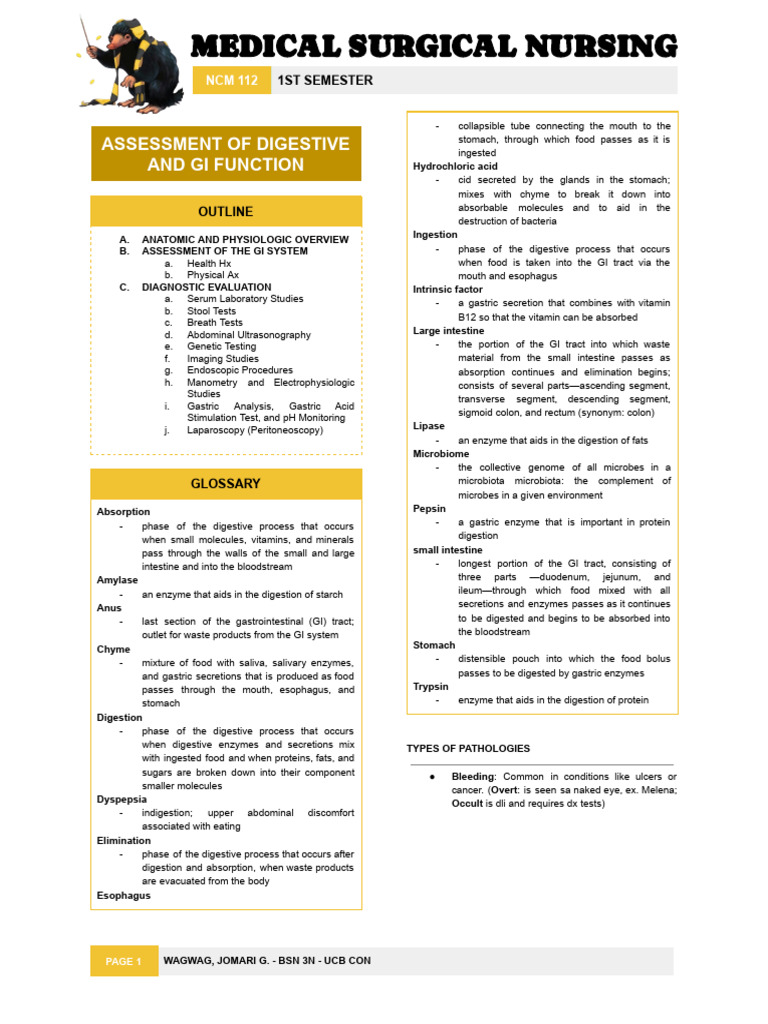Gi - Assessment of Digestive and Gi Function (MS) | PDF | Digestion ...