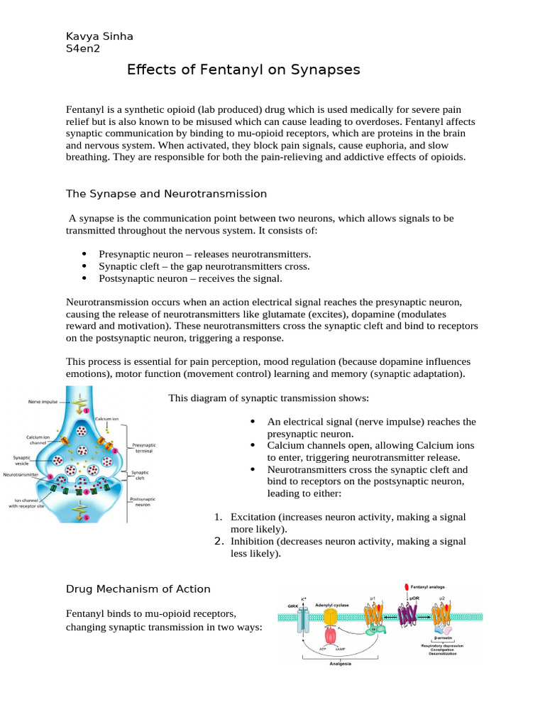 Effect of Drugs On Synapse | PDF | Synapse | Chemical Synapse