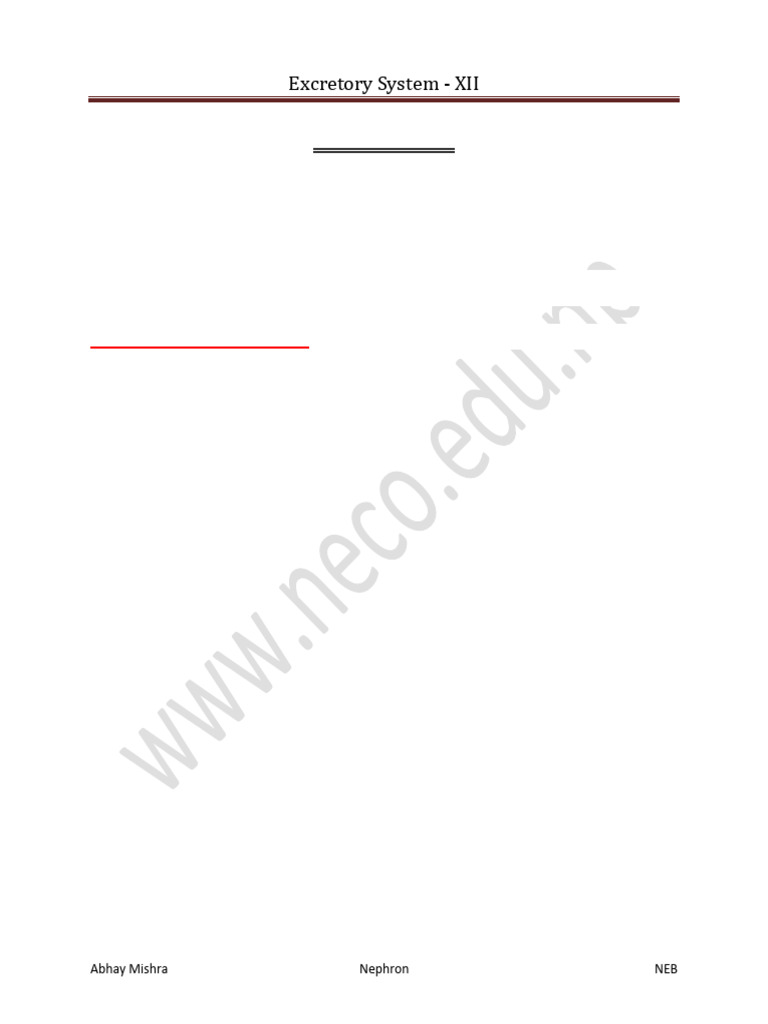 n Ephron | PDF | Kidney | Organ (Anatomy)