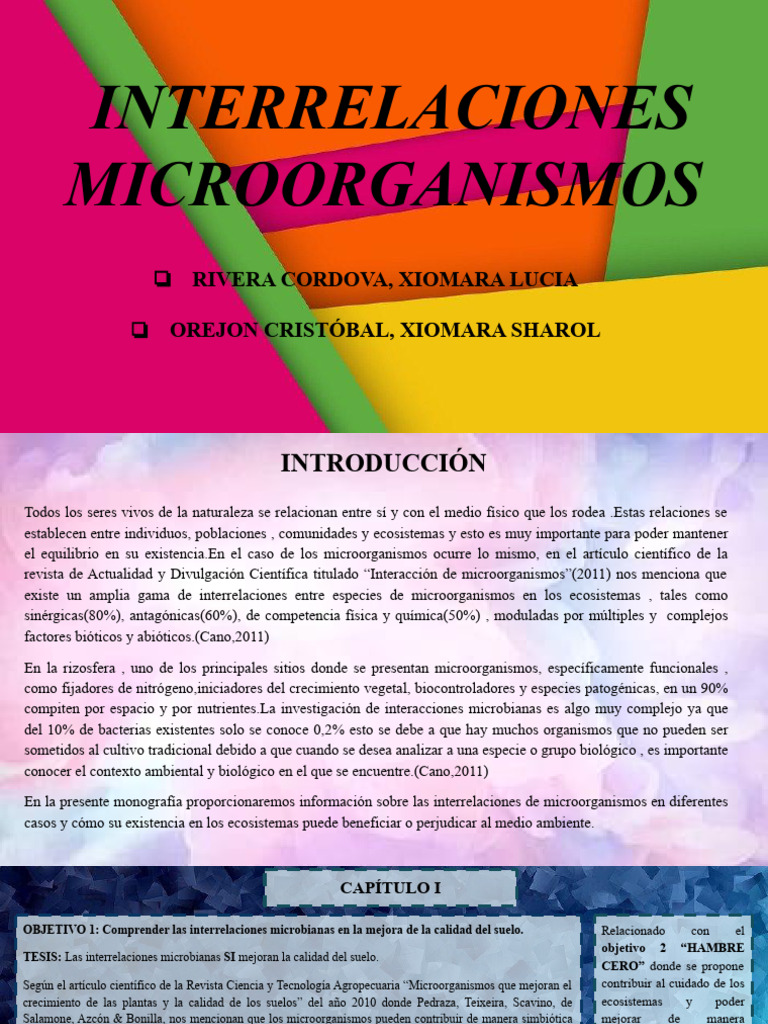_INTERRELACIONES MICROORGANISMOS - G3 | PDF | Microorganismo | Suelo