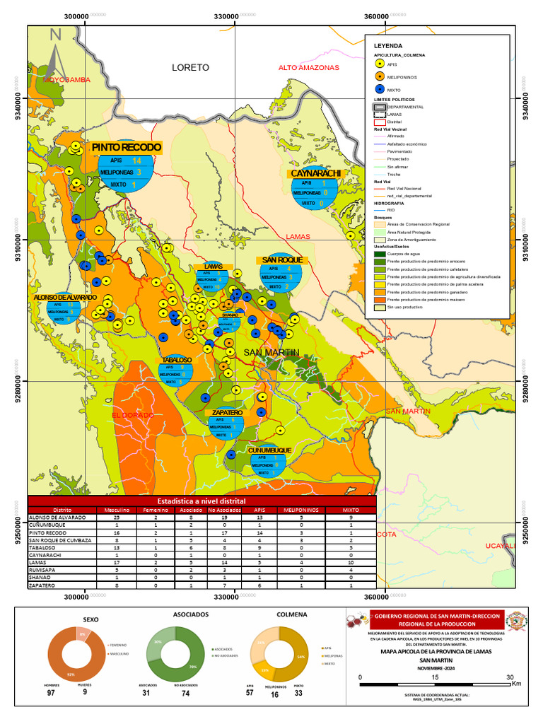 Mapa de Lamas y Datos Distritales | PDF | Entorno natural