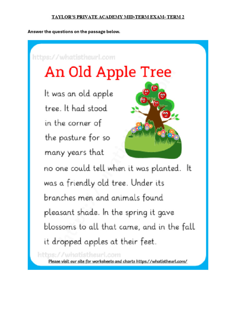 Comprehension Exam (Infant 2:Std 1) | PDF