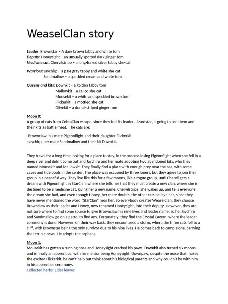 WeaselClan Story | PDF