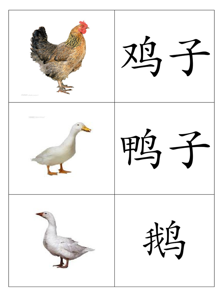 1000 Thẻ Flashcard Yct | PDF