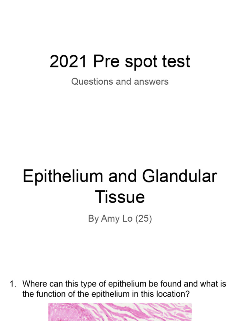 2021 Pre-Spot Test | PDF | Epithelium | Connective Tissue
