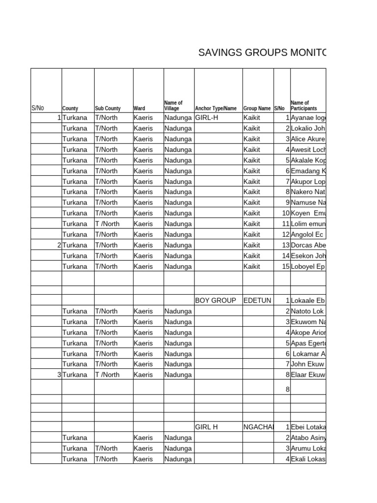 VSLA Data Collection Form | PDF | Demand For Money | Loans
