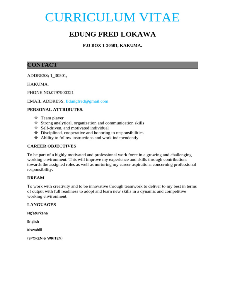 Fred Edung Cv | PDF | Communication | Computing
