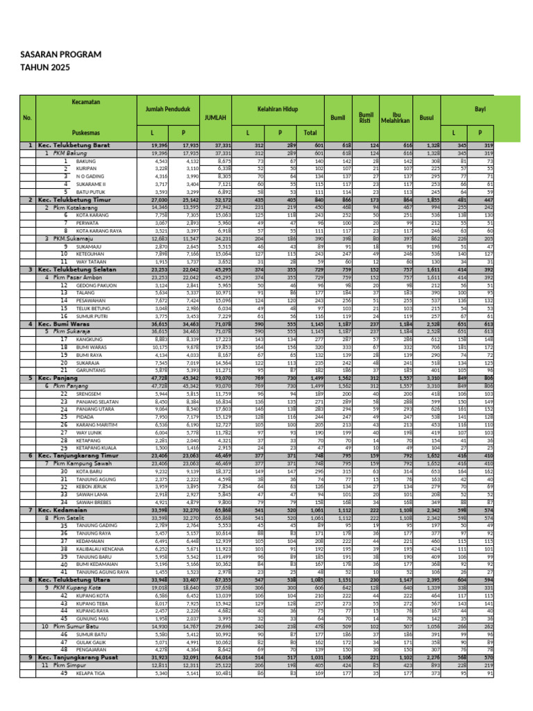 Sasaran Tahun 2025 - Puskesmas | PDF