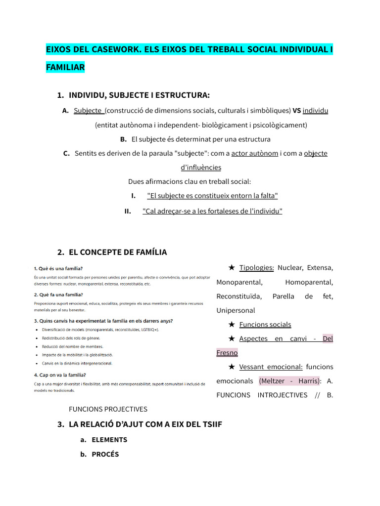 Esquema P.1 EIXOS DEL CASEWORK | PDF