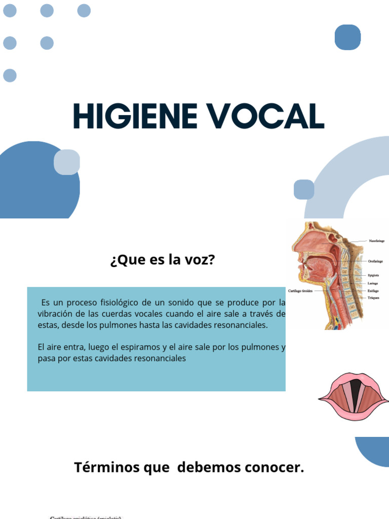 Presentación Higiene vocal | PDF | Laringe