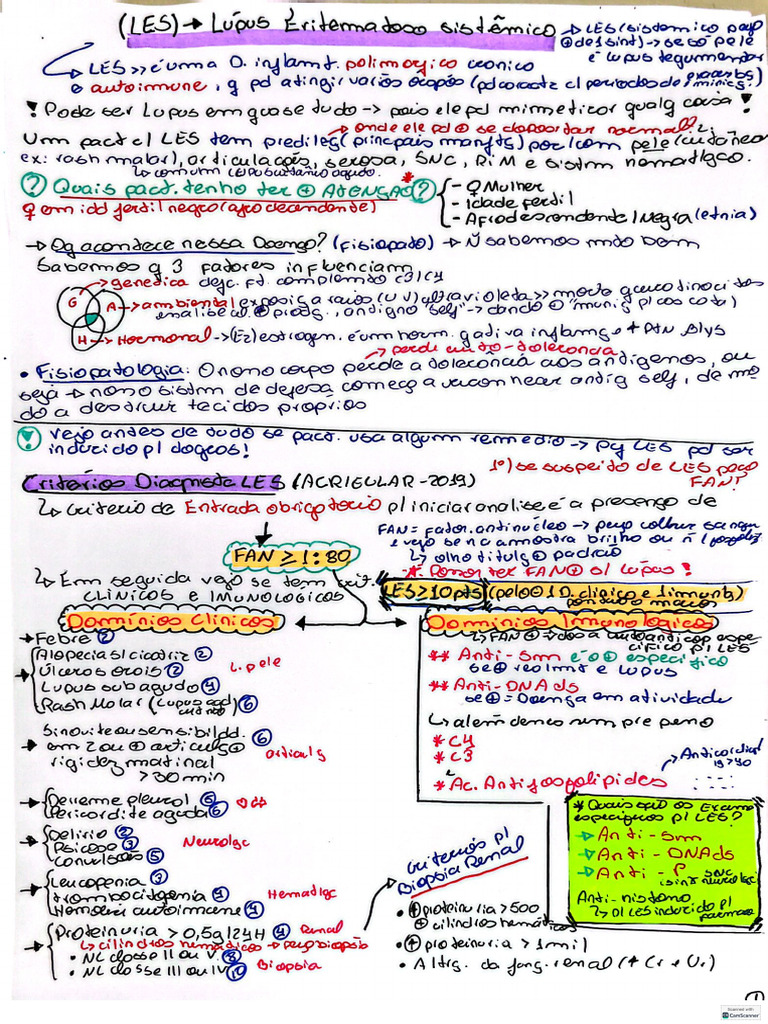 LES | PDF