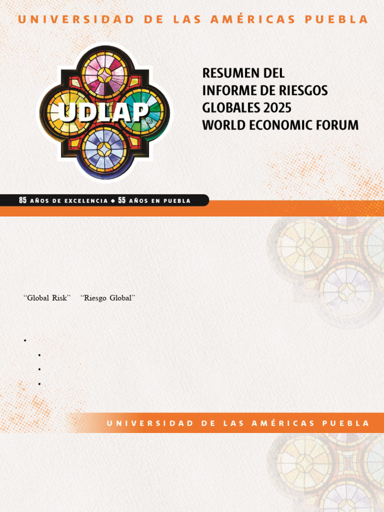 RESUMEN World Risk Report WEF 2025 | PDF | Migración humana | Deuda