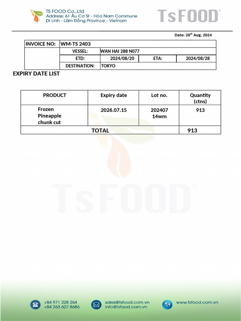 Example - Expiry Date List | PDF