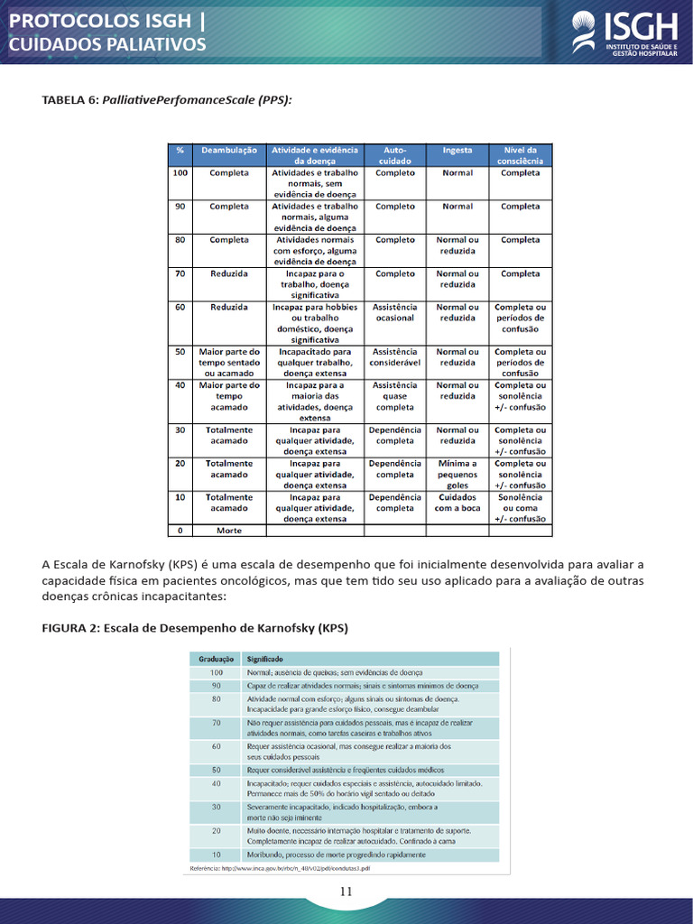 Palliative Performance Scale (PPS) | PDF