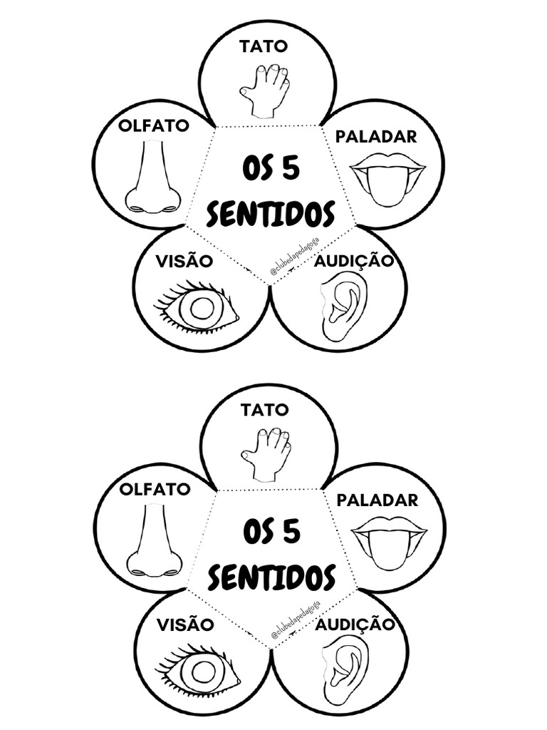 CDP - Flor Dos 5 Sentidos - @clubedapedagoga | PDF