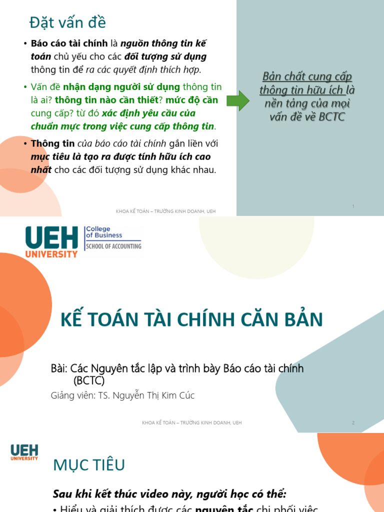 Hệ Thống BCTC Việt Nam | PDF