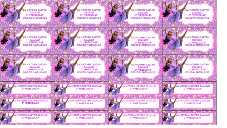 Lia Victoria Castro Calvillo Profile | PDF