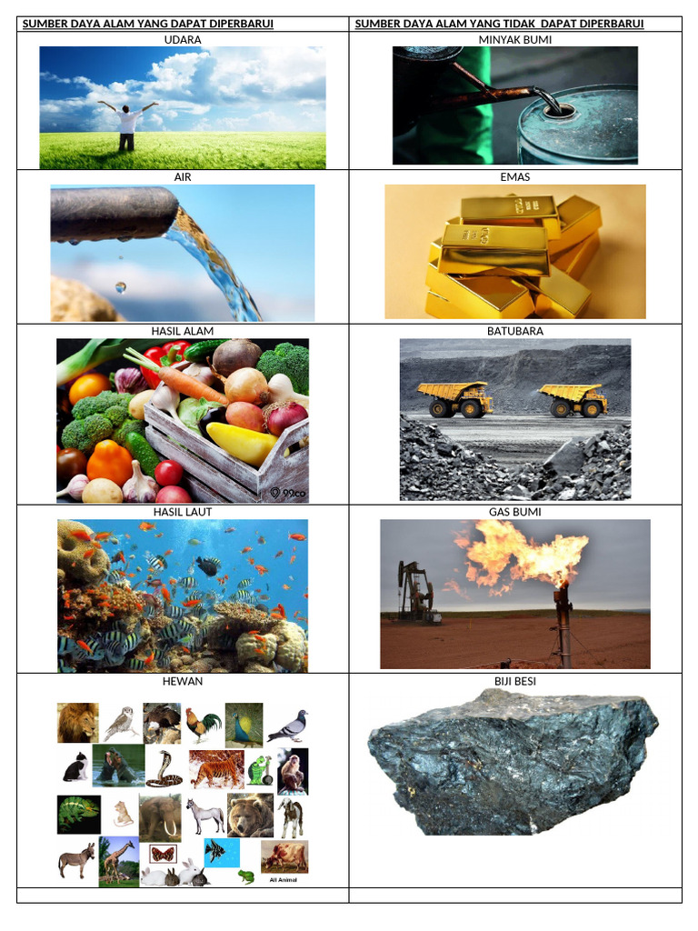 SUMBER DAYA ALAM YANG DAPAT DIPERBARUI | PDF