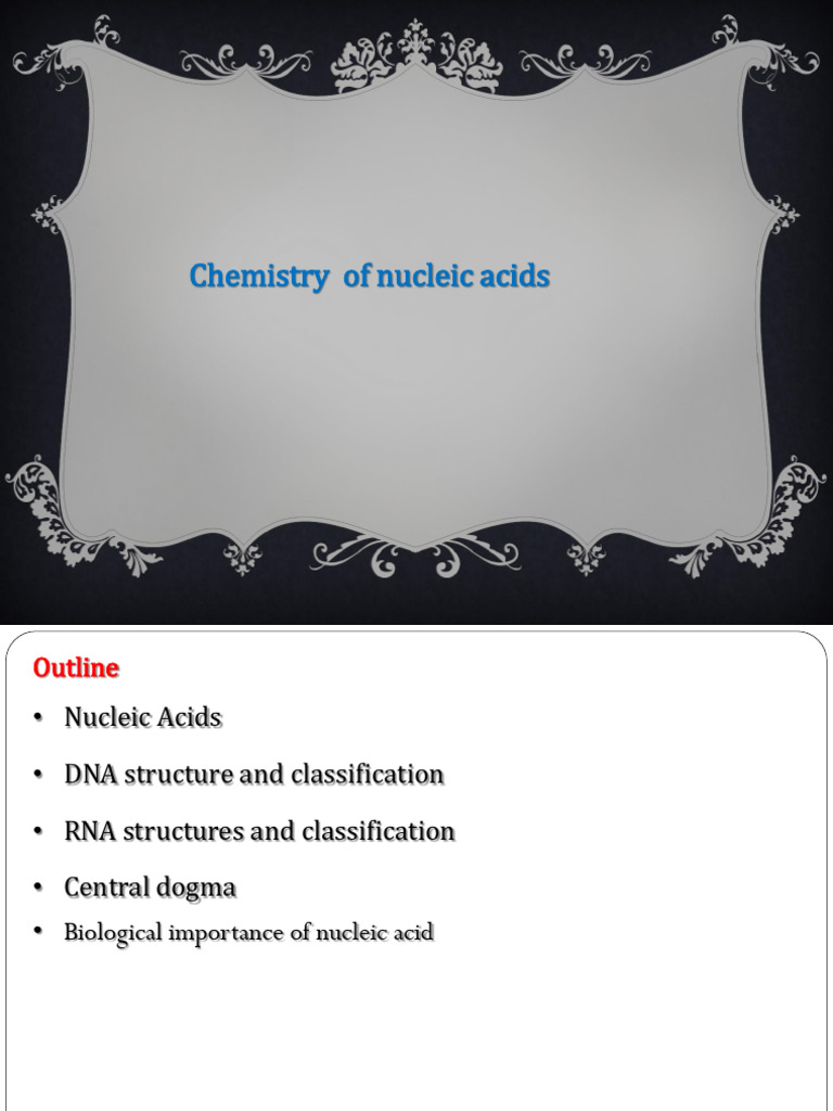 Nucleic Acids: Structure and Function | PDF | Nucleic Acids | Dna
